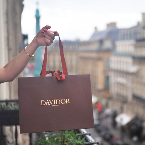 VOLUME 17: PARIS, CITY OF LIGHTS – DAVIDOR